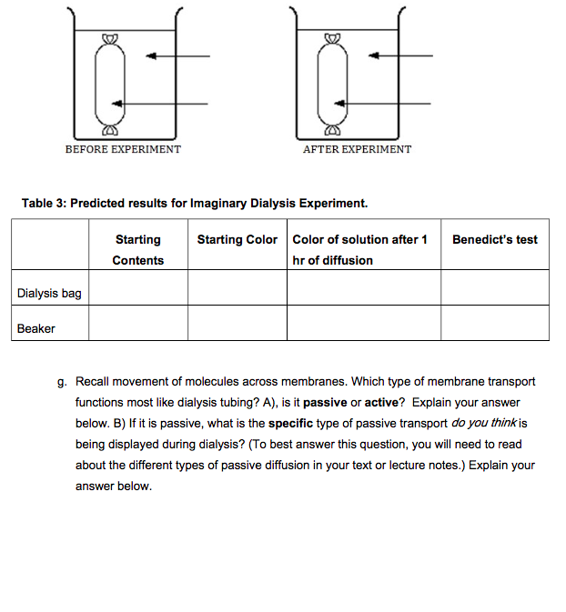 Biology Cell Lab: Passive transport through membranes | Chegg.com