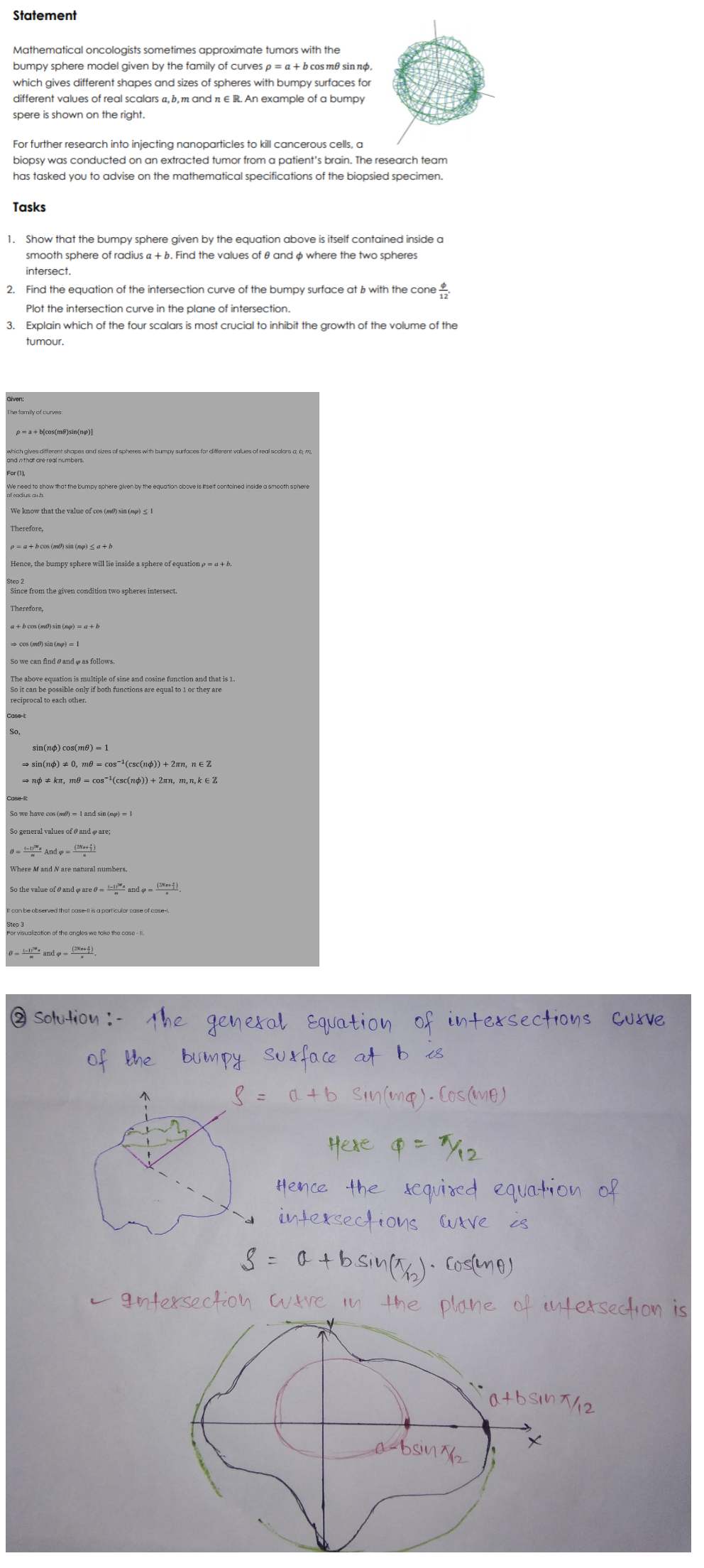 Solved Statement Mathematical oncologists sometimes | Chegg.com