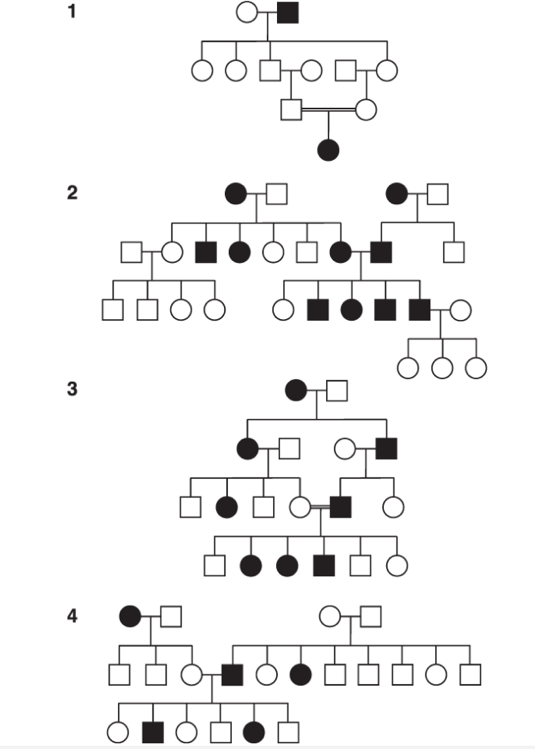 Solved 5. [4 points] Four pedigrees are shown in the | Chegg.com