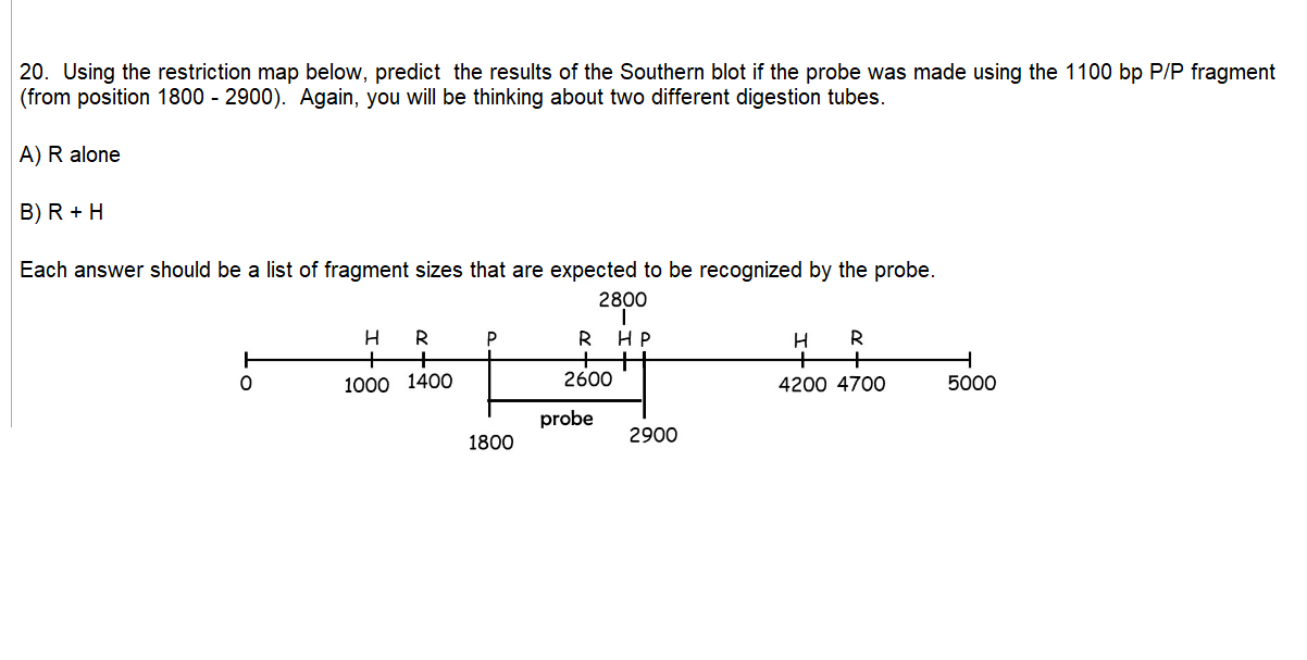 Solved 20. Using the restriction map below, predict the | Chegg.com