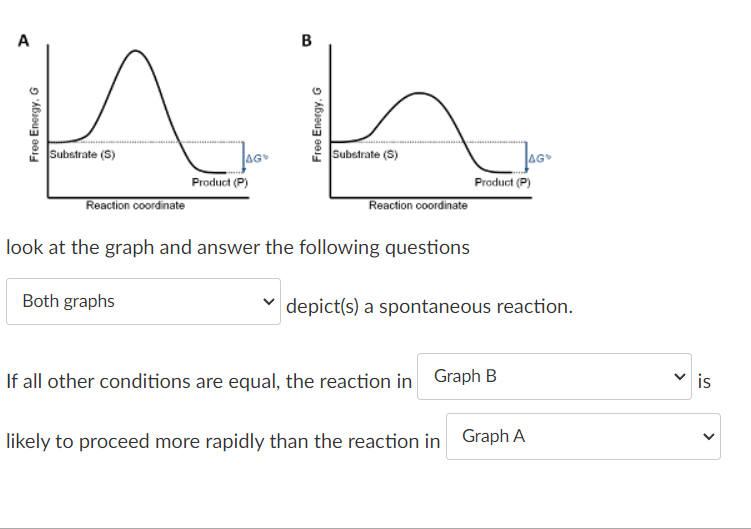 Solved look at the graph and answer the following questions | Chegg.com