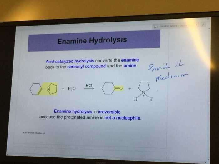 Solved Enamine Hydrolysis Acid-catalyzed hydrolysis converts | Chegg.com