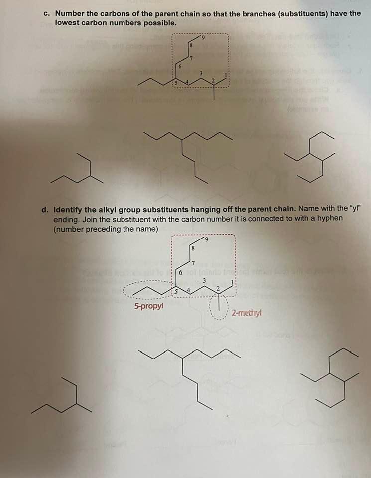 Solved c. Number the carbons of the parent chain so that the | Chegg.com