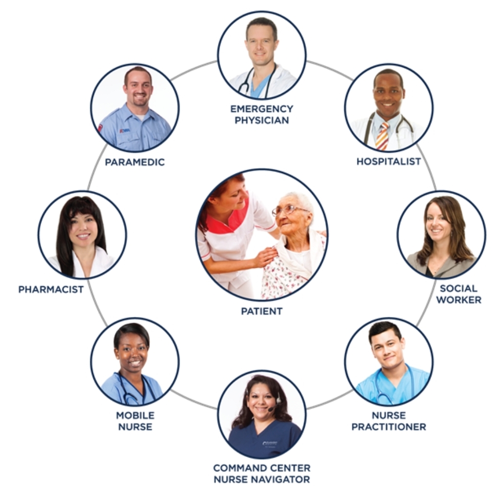 Solved NURSING:describe your own roles and responsibilities | Chegg.com