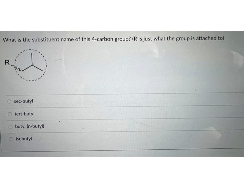 Solved What is the substituent name of this 4-carbon group? | Chegg.com