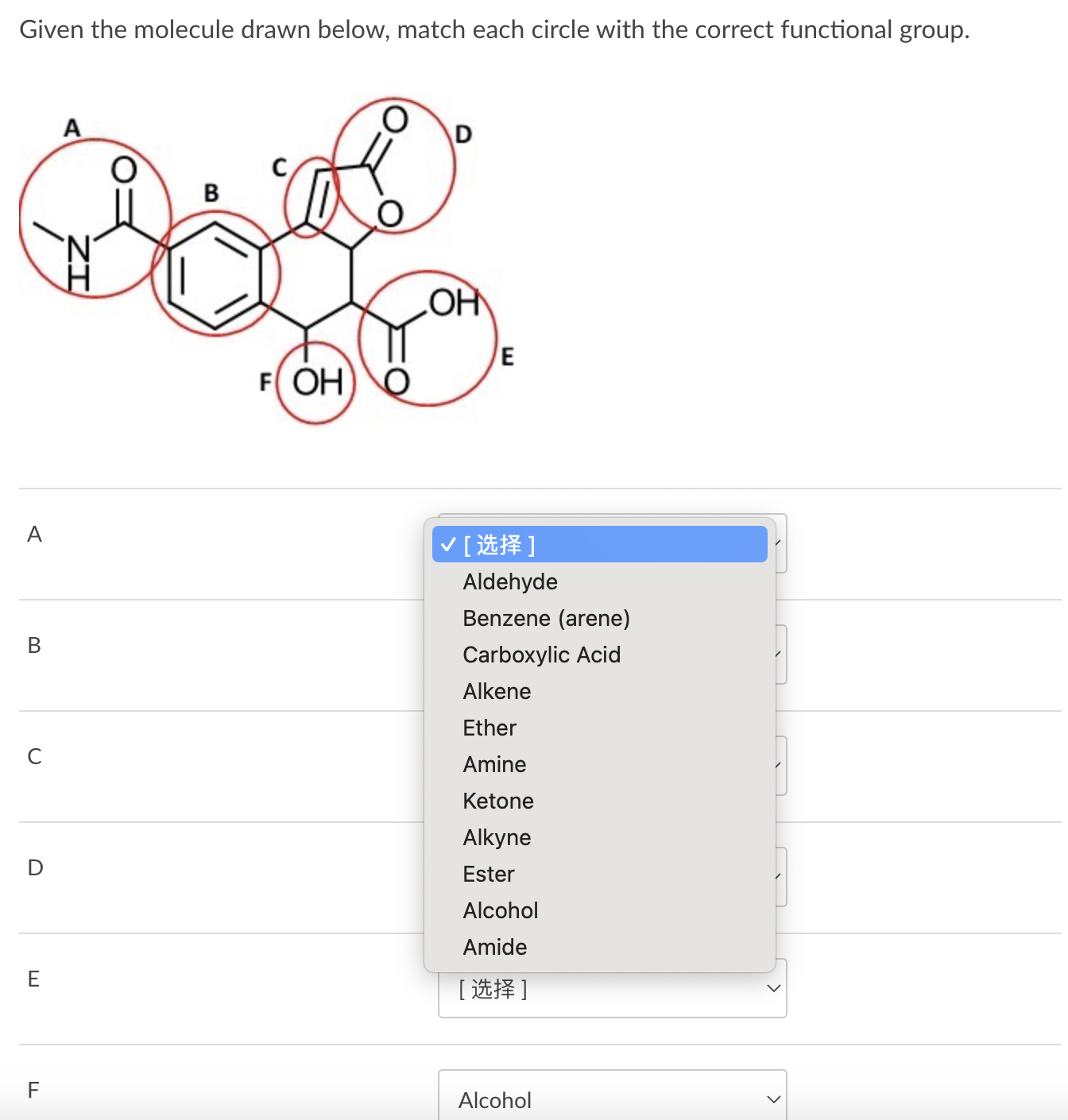 Solved Given the molecule drawn below, match each circle | Chegg.com