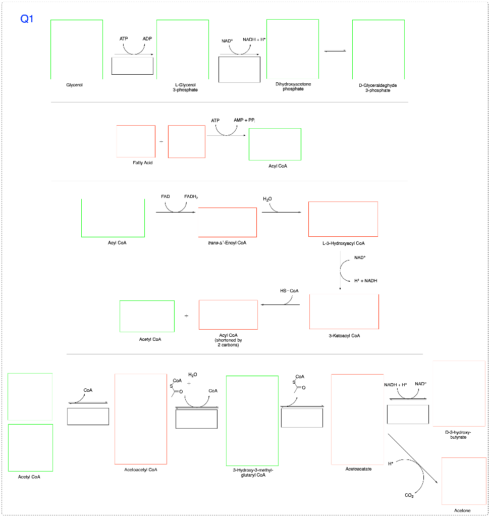 Solved 1. Fill in boxes labelled Q1 on worksheets 1 and 3 | Chegg.com Solved 1. Fill in boxes labelled Q1 on worksheets 1 and 3 | Chegg.com