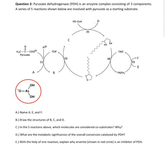 Solved Question 2: Pyruvate dehydrogenase (PDH) is an enzyme | Chegg.com