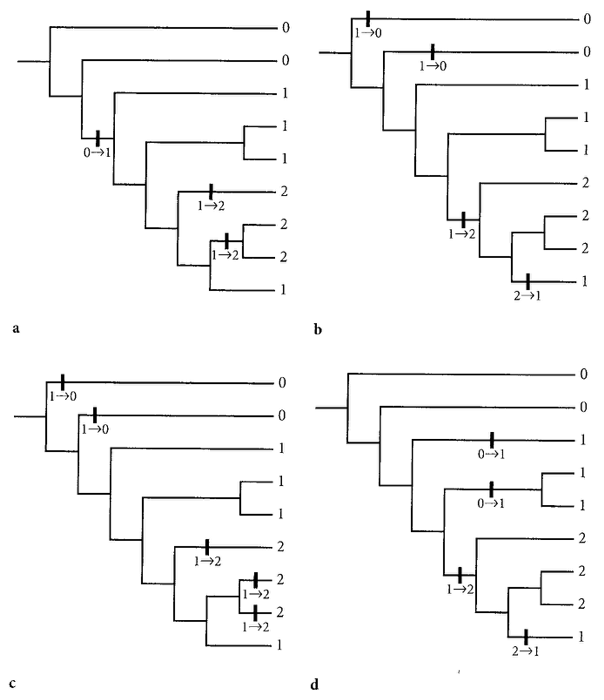 Solved 3. Consider the DNA sequence data matrix below and | Chegg.com