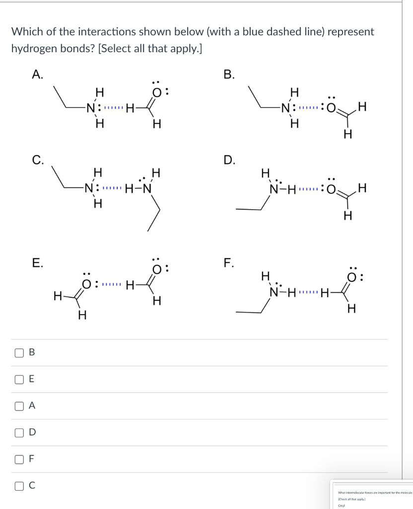 Solved What intermolecular forces are important for the | Chegg.com