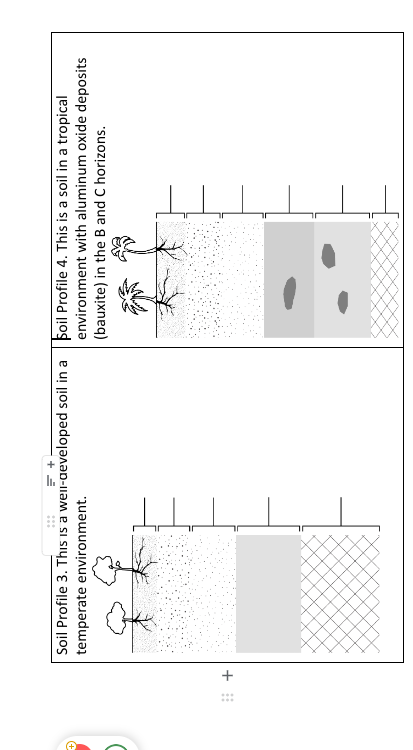 Solved "Based on the descriptions provided in Table 19.1 | Chegg.com