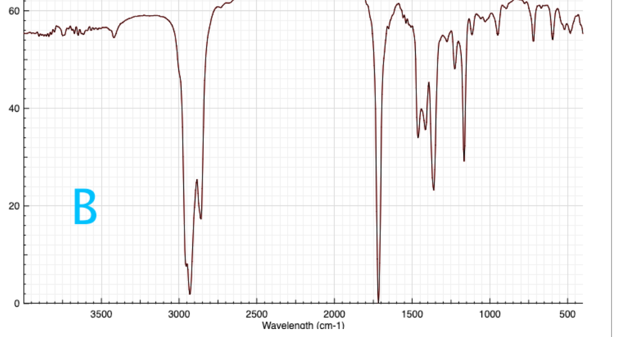 Solved C8H16O may represent several different structures. We | Chegg.com