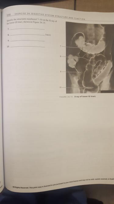 Solved Section Name Date Using Your Knowledge 34 A. | Chegg.com