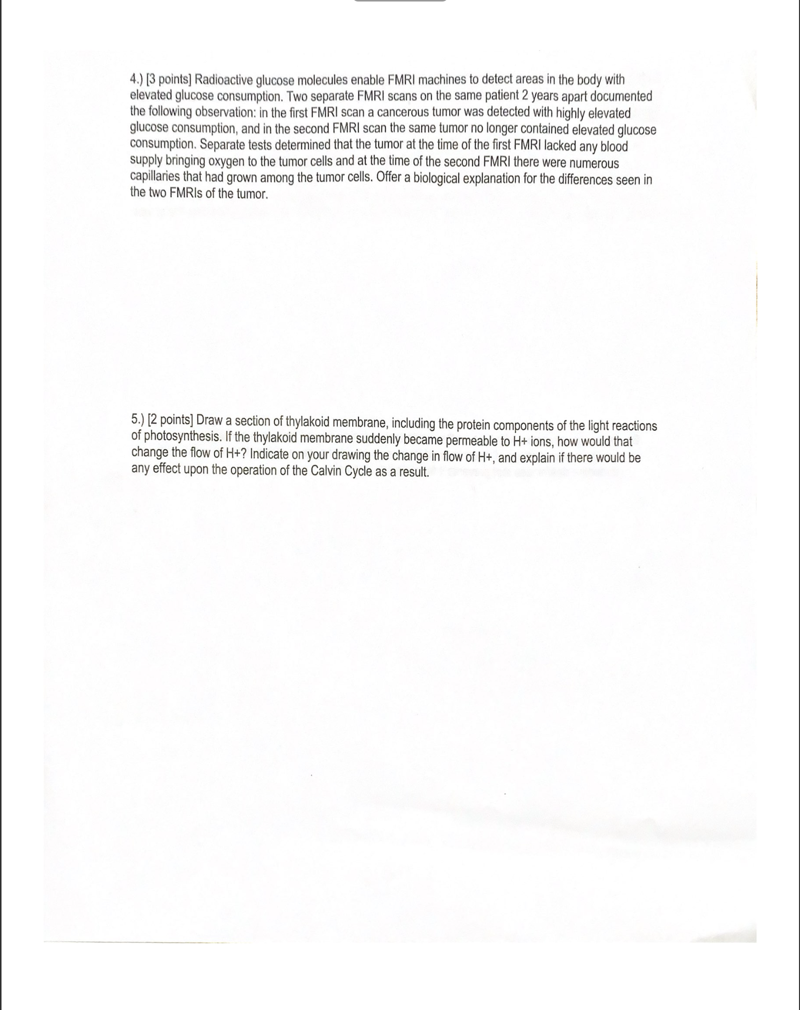 Solved 4.) [ 3 points] Radioactive glucose molecules enable | Chegg.com