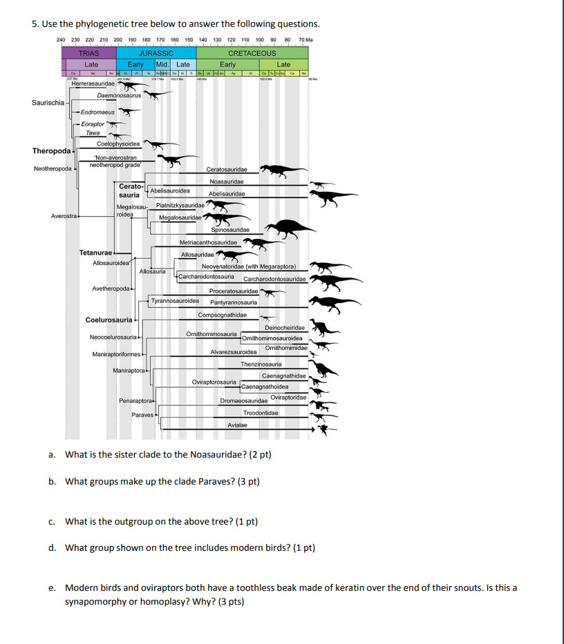 1. The image below shows a single population of adult | Chegg.com