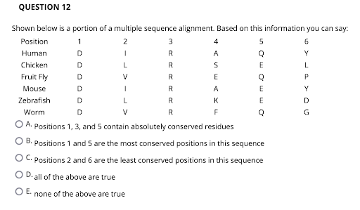 Shown below is a portion of a multiple sequence | Chegg.com