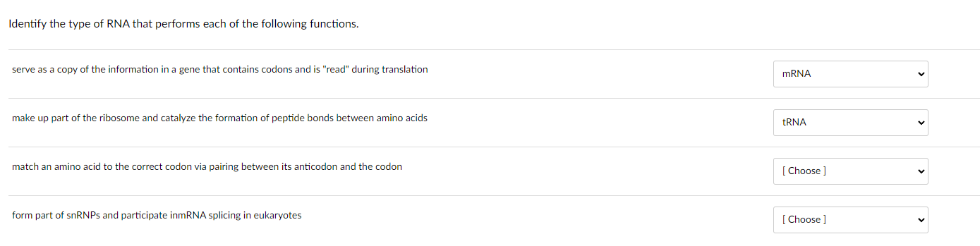 Solved Identify the type of RNA that performs each of the | Chegg.com