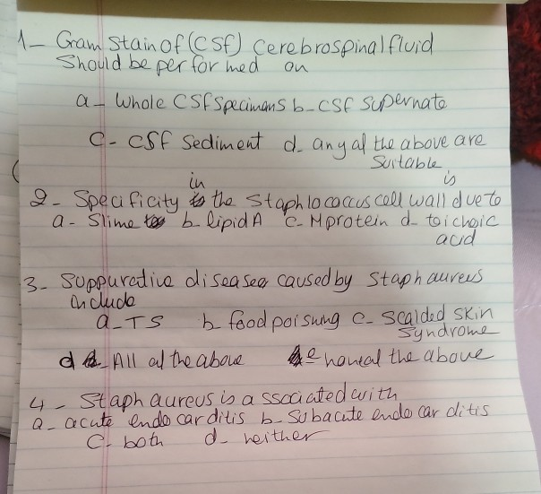 Solved 1- Gram Stain of (CSf) Cerebrospinal fluid Should be | Chegg.com