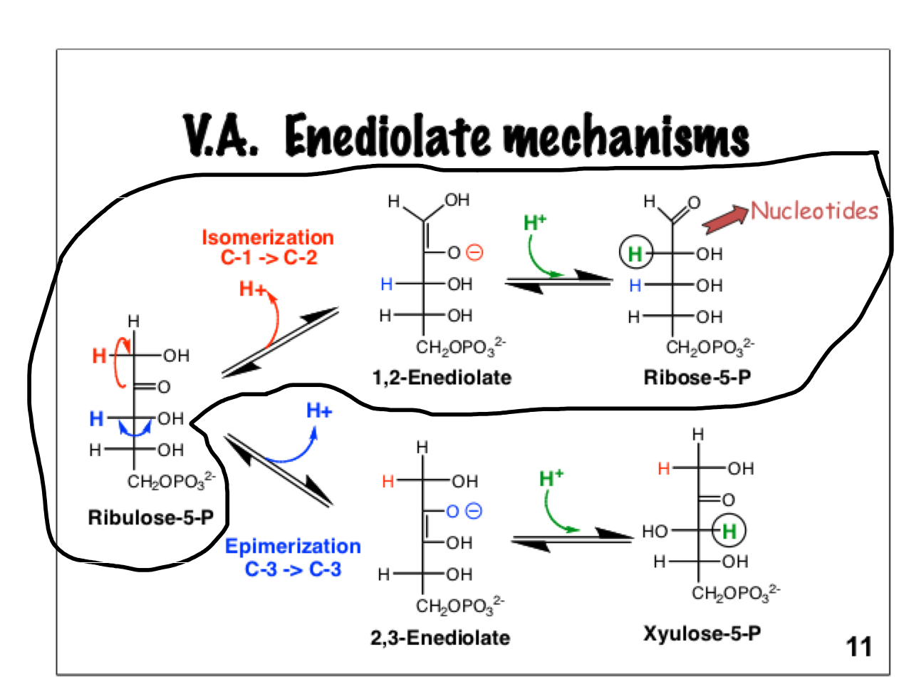Solved Can somebody please help me with drawing the arrows | Chegg.com