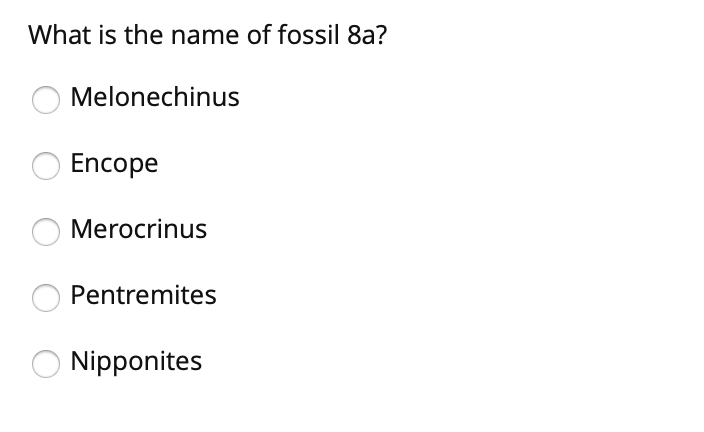 Solved FAUNA 2 2a 2b 2c 2d 2e | Chegg.com