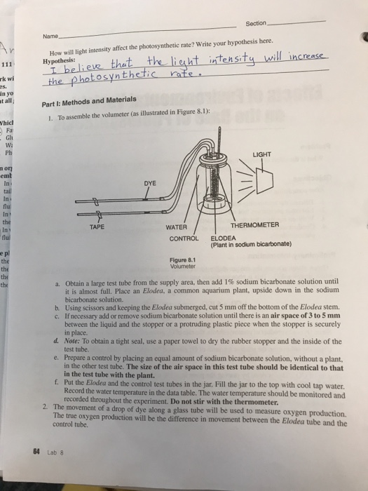 Solved I need abstract writing on this lab. That means I | Chegg.com