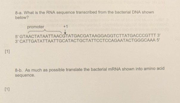 Solved 8-a. What is the RNA sequence transcribed from the | Chegg.com