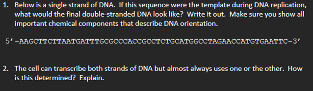 Solved Below is a single strand of DNA. If this sequence | Chegg.com