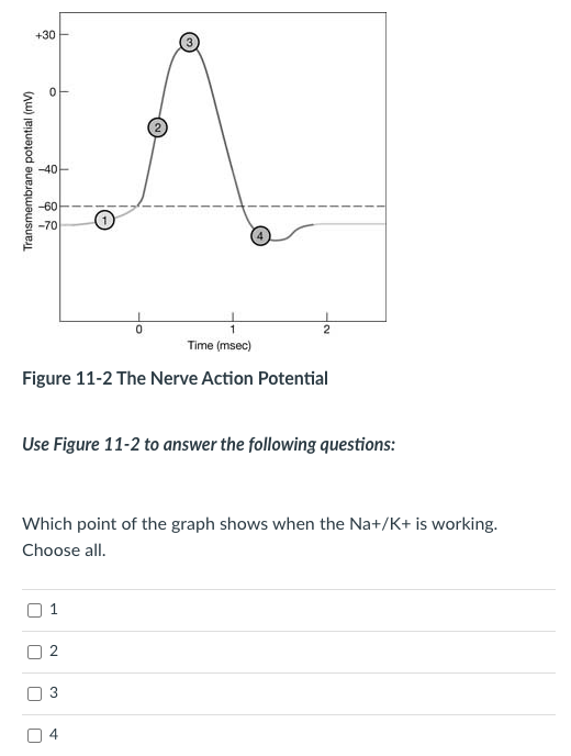 Solved Figure 11-2 ﻿The Nerve Action PotentialUse Figure | Chegg.com