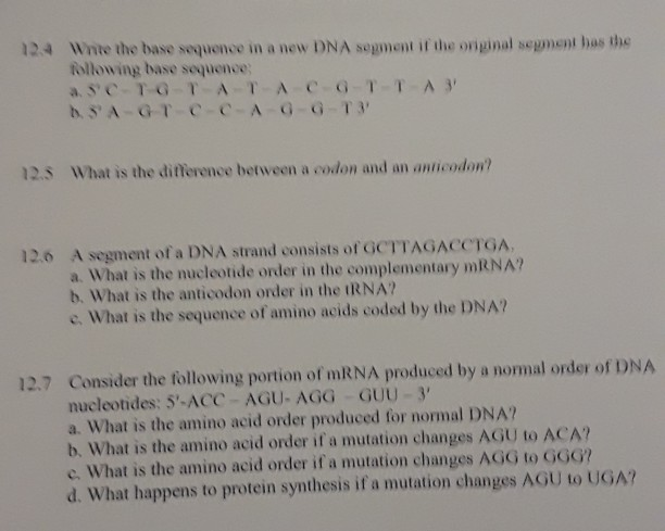 Solved 14 Write the base sequence in a new DNA sepment in | Chegg.com