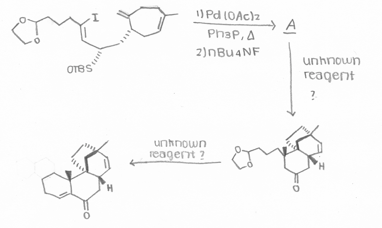 Please identify the structure of A, as well as the | Chegg.com