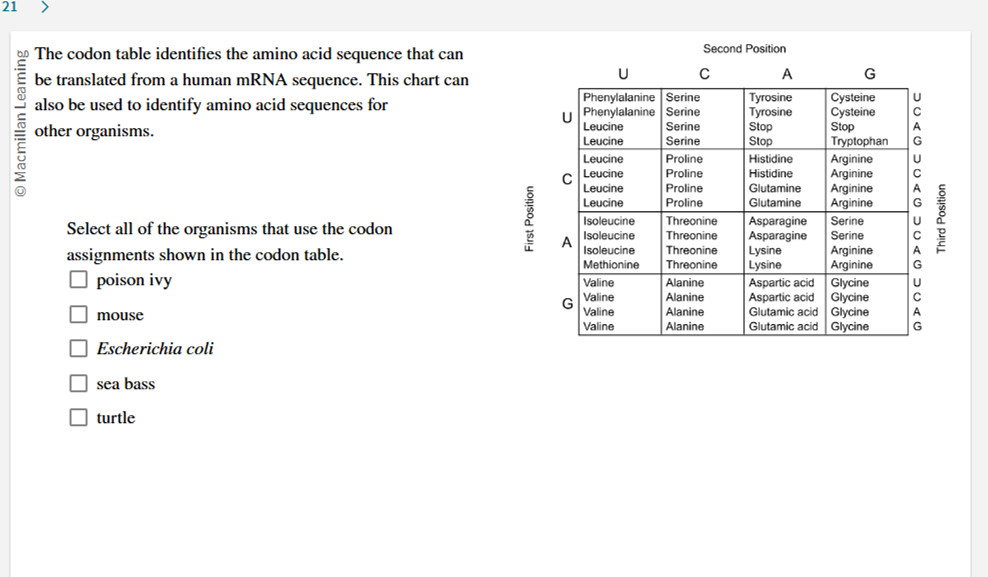 Solved by an EXPERT The codon table identifies the amino acid sequence | Chegg.com