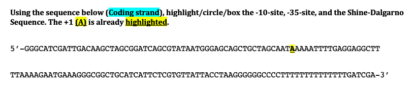 Solved Using the sequence below (Coding strand), | Chegg.com