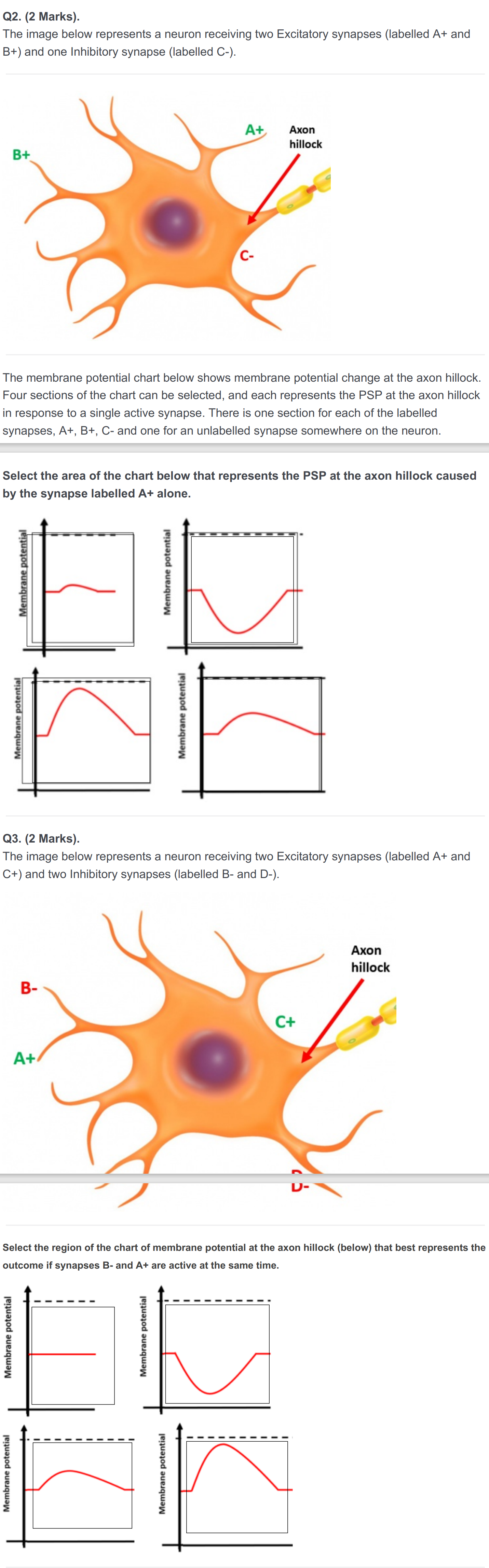 Solved Q2. (2 Marks). The image below represents a neuron | Chegg.com