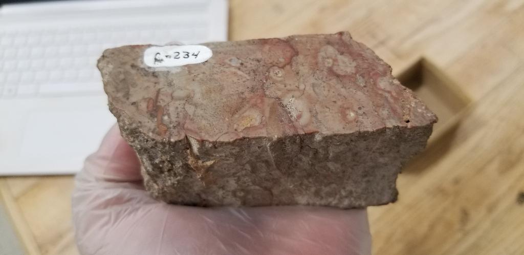 Solved 1. 1. Are the gravel clast intraclast or | Chegg.com