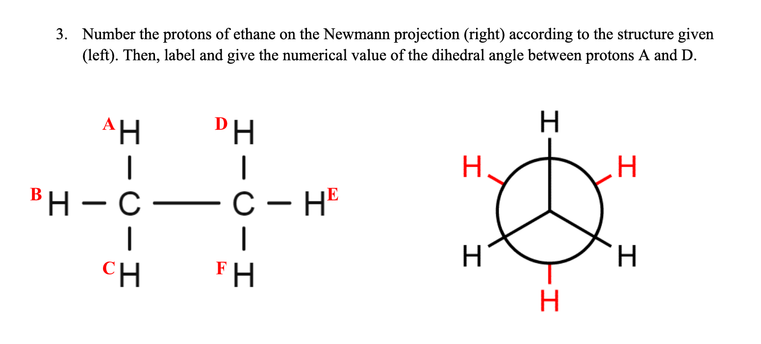 Solved 3. Number the protons of ethane on the Newmann | Chegg.com