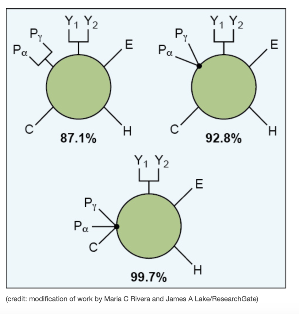 (credit: modification of work by Maria C Rivera and | Chegg.com