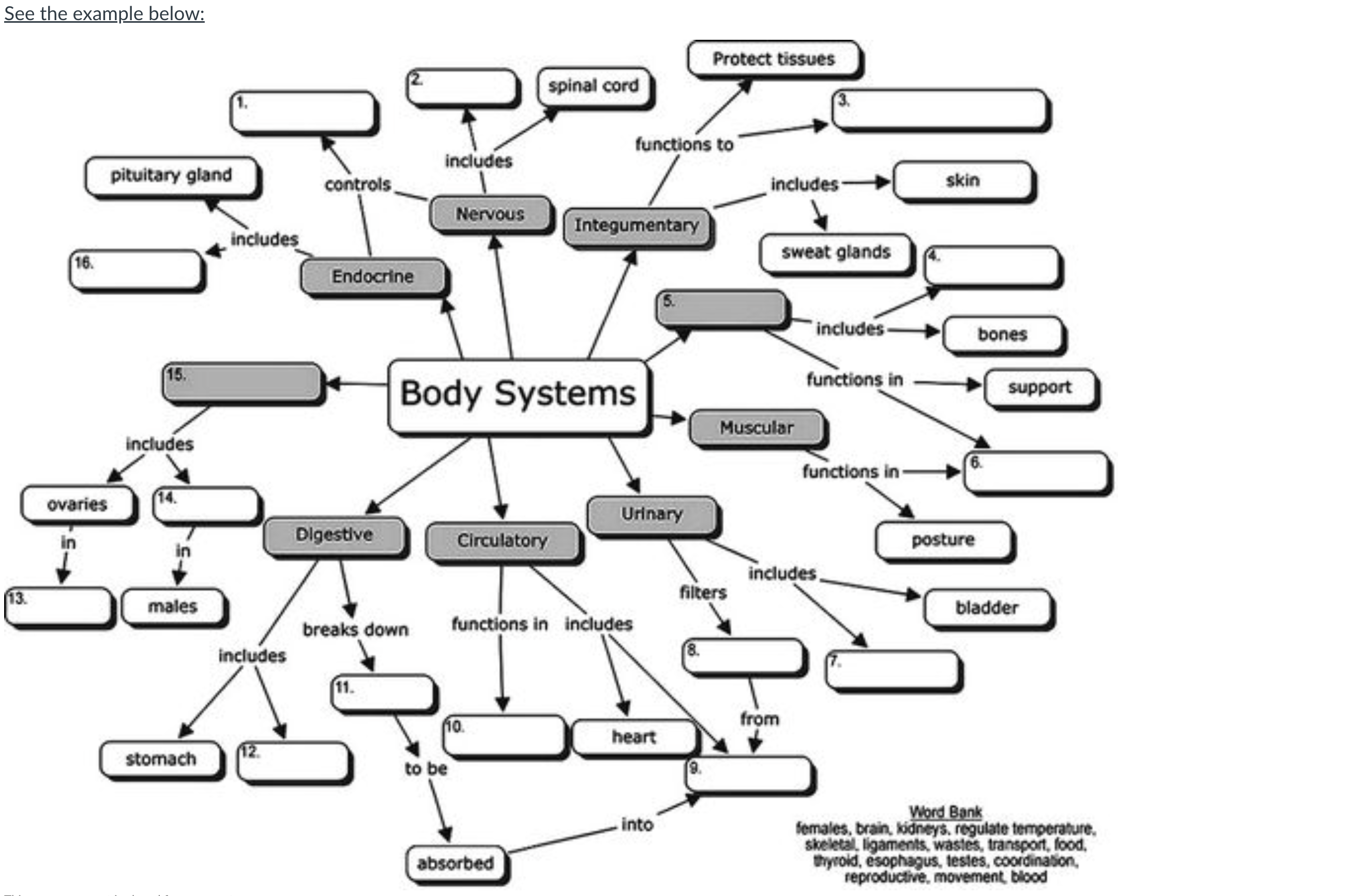 Solved Make a concept map for general senses. You can start | Chegg.com