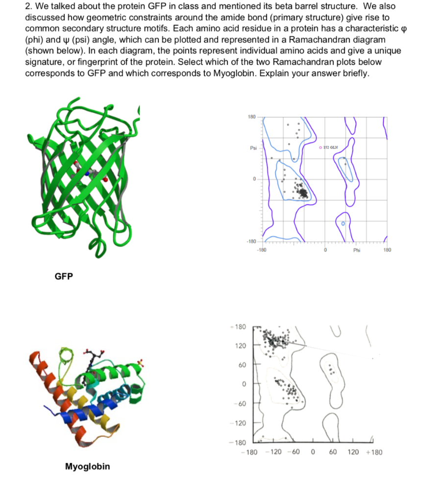 Solved 2. We talked about the protein GFP in class and | Chegg.com