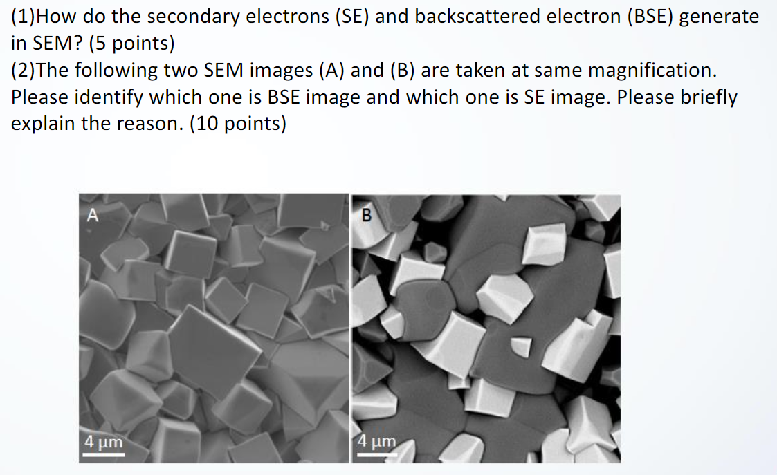 Solved (1)How do the secondary electrons (SE) and | Chegg.com