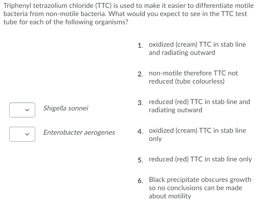 Solved Triphenyl tetrazolium chloride (TTC) is used to make | Chegg.com