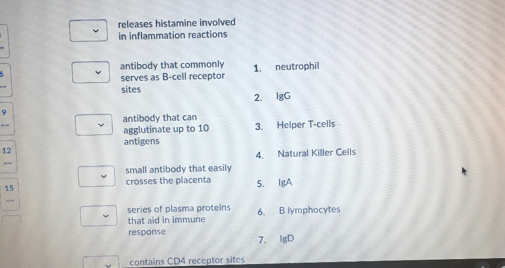 For each of the following match immune system | Chegg.com