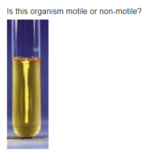 Solved Is this organism motile or non-motile? | Chegg.com