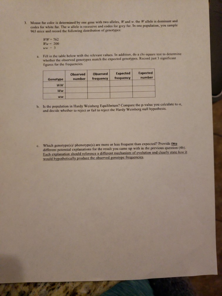 Solved Mouse fur color is determined by one gene with two | Chegg.com