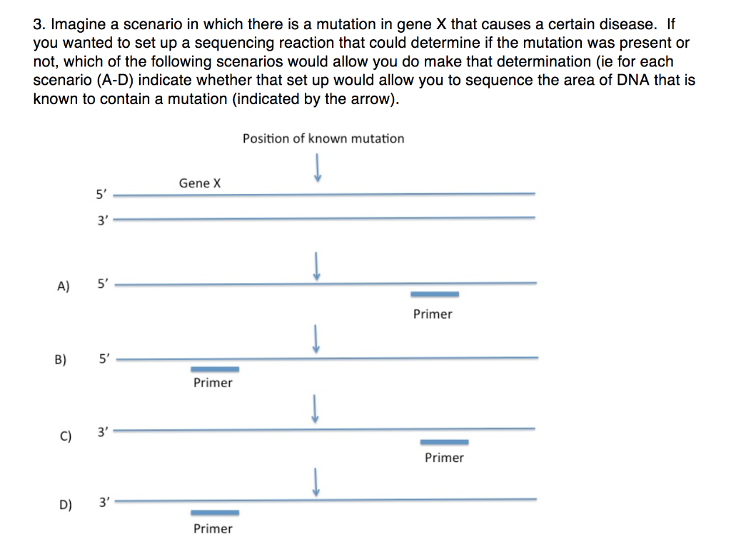 Solved 3. Imagine a scenario in which there is a mutation in | Chegg.com