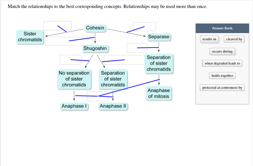 Solved Match the relationships to the best corresponding | Chegg.com