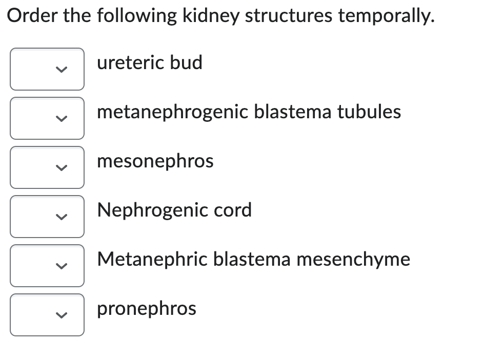 Solved Order the following kidney structures temporally. | Chegg.com