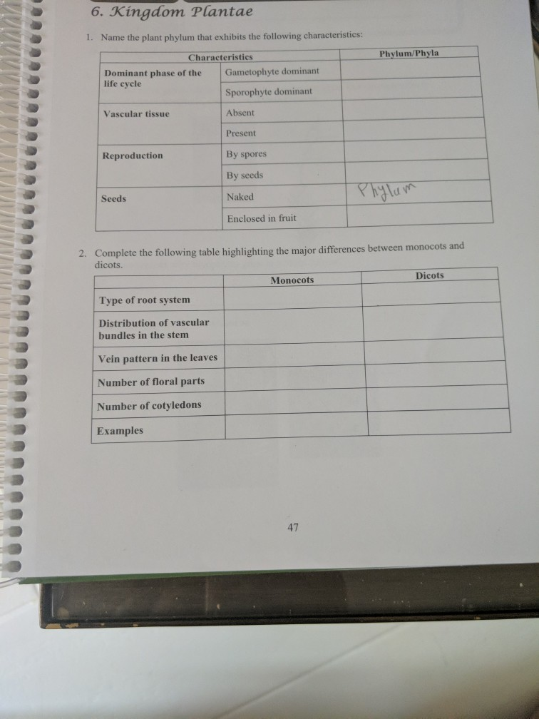 Solved 6. Kingdom Plantae I. Name the plant phylum that | Chegg.com