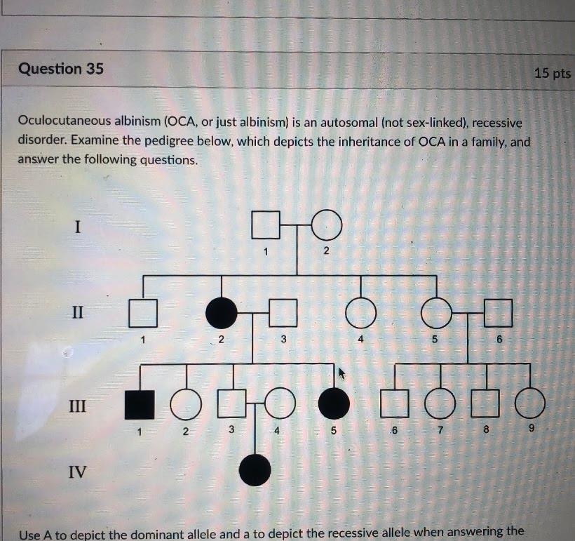 Solved Question 35 15 pts Oculocutaneous albinism (OCA, or | Chegg.com