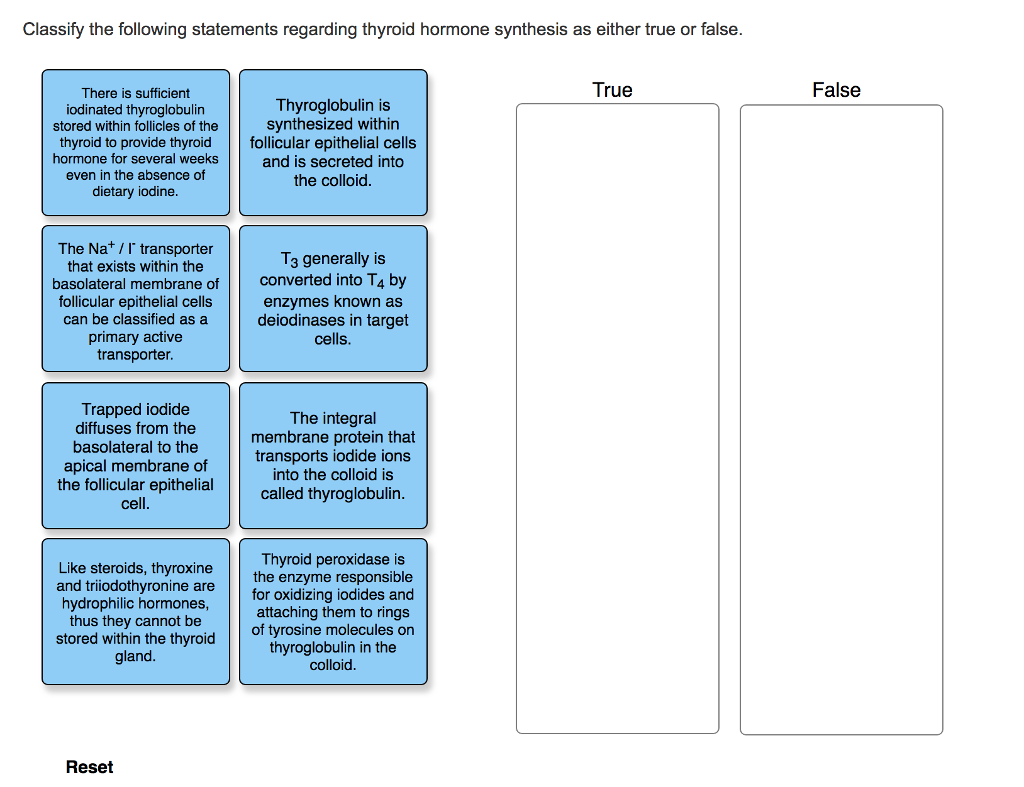 Solved Classify the following statements regarding thyroid | Chegg.com