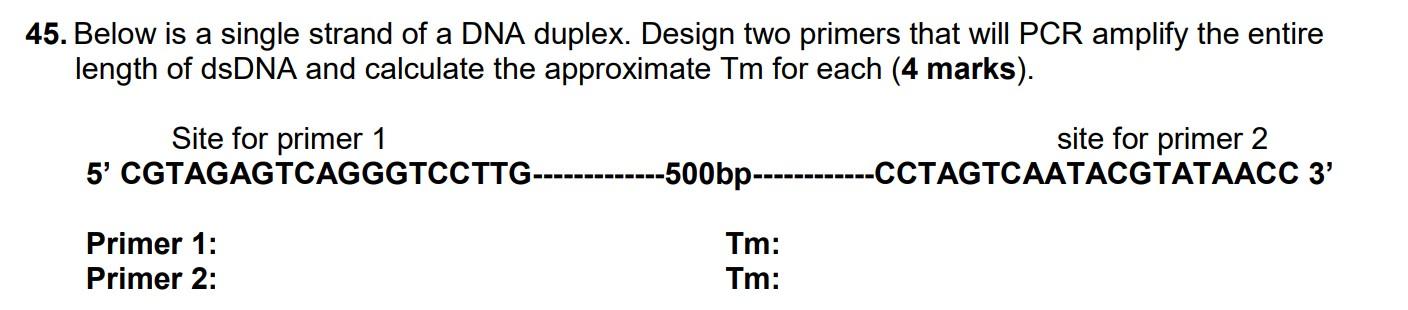 Solved 45 Below Is A Single Strand Of A Dna Duplex Design